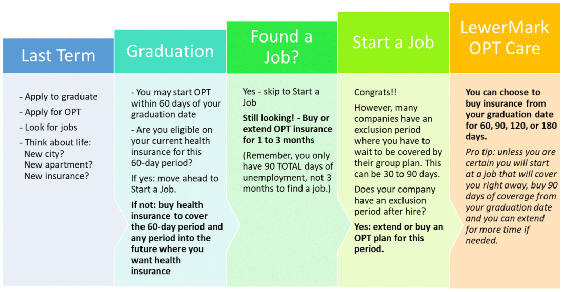 OPT/OPT Stem Student - Lewerglobal