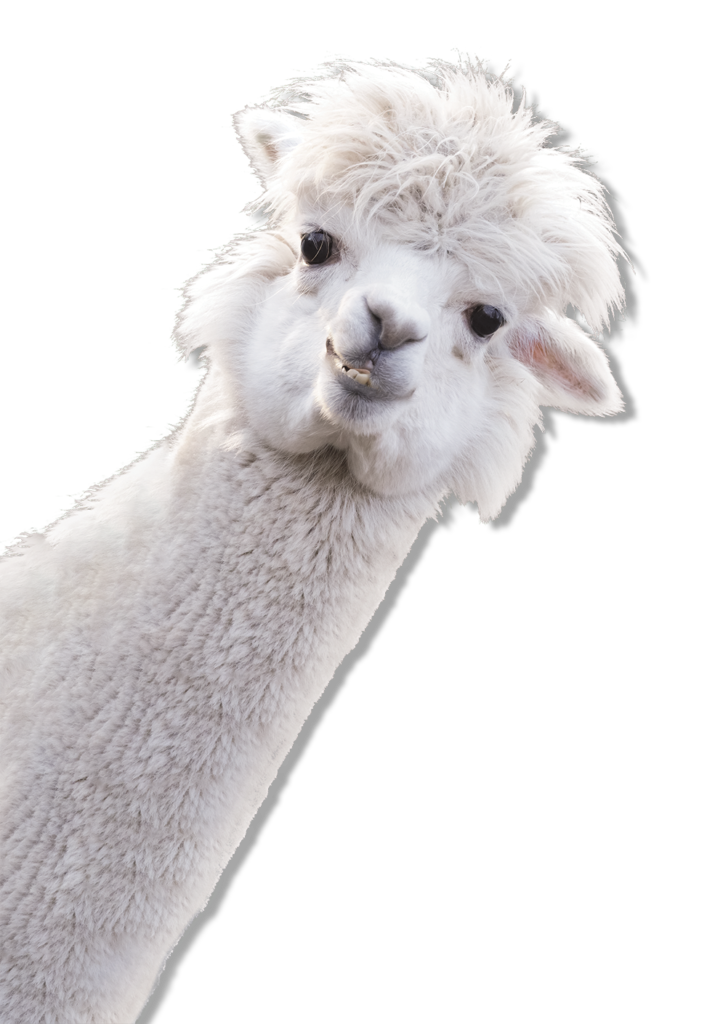 Travel Insurance - Lewerglobal